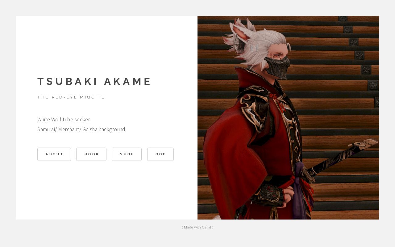 Wandering White Wolf